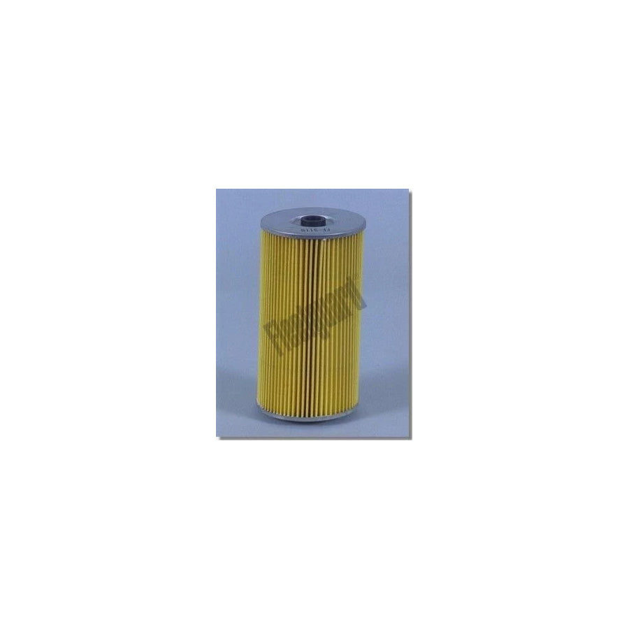 Fleetguard FF5119 Fuel Filter – ML Performance