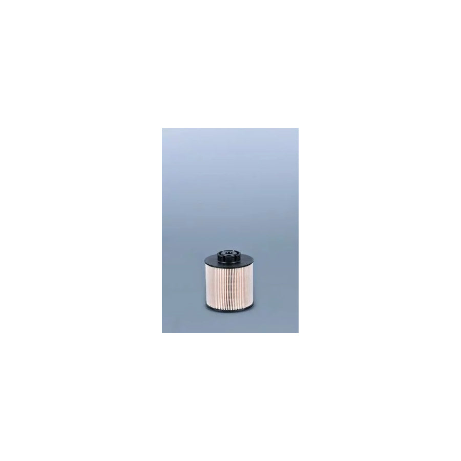 Fleetguard FF5380 Fuel Filter – ML Performance