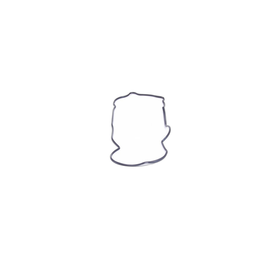 Genuine BMW 11141485162 R50 R53 Profile-Gasket (Inc. One 1.4i, Cooper ...