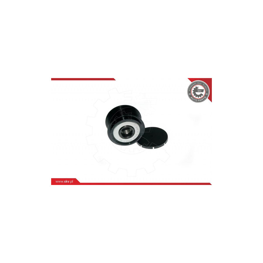 Esen Skv 11SKV040 Alternator Freewheel Clutch For Ford Transit | ML ...