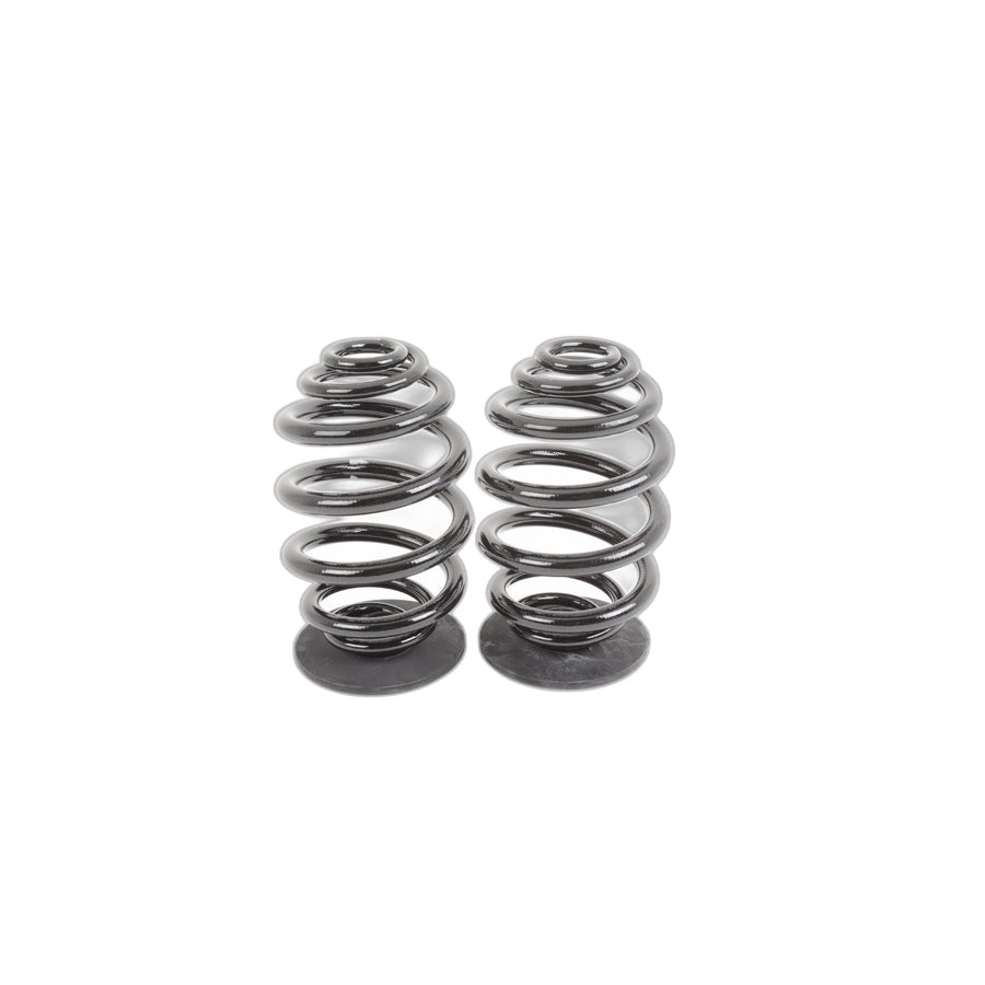 Genuine BMW 33539065357 E36 Set Coil Springs (Inc. 320i & 325i) – ML ...