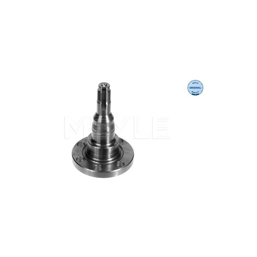 Meyle 100 501 1010 Wheel Hub – ML Performance
