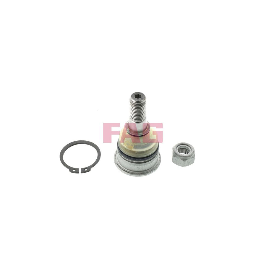 FAG 825 0229 10 Ball Joint – ML Performance