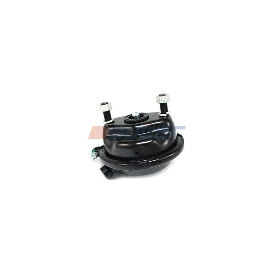Auger 21173 Spring-Loaded Cylinder – ML Performance