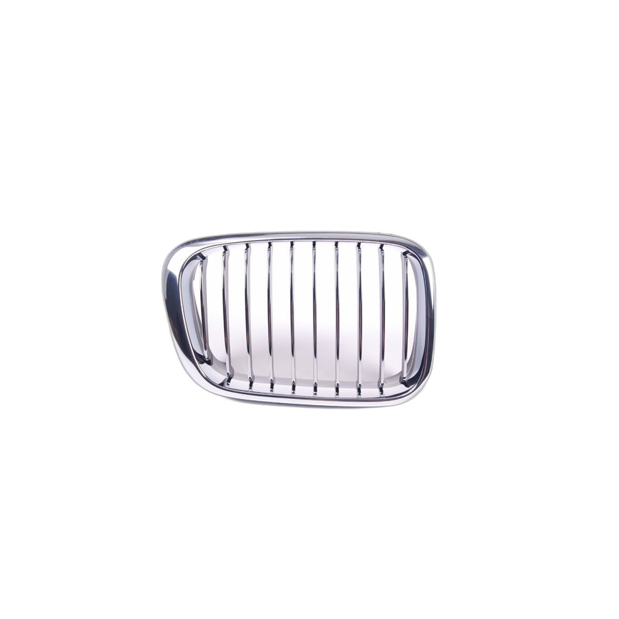 Genuine BMW 51138208490 E46 Grille Right CHROM (Inc. 325i, 325xi & 323i ...