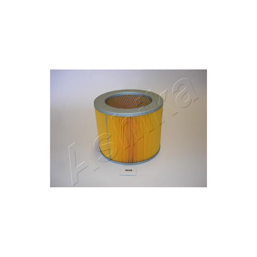 ASHIKA 20-05-503 Air Filter for MITSUBISHI L300 / DELICA | ML ...