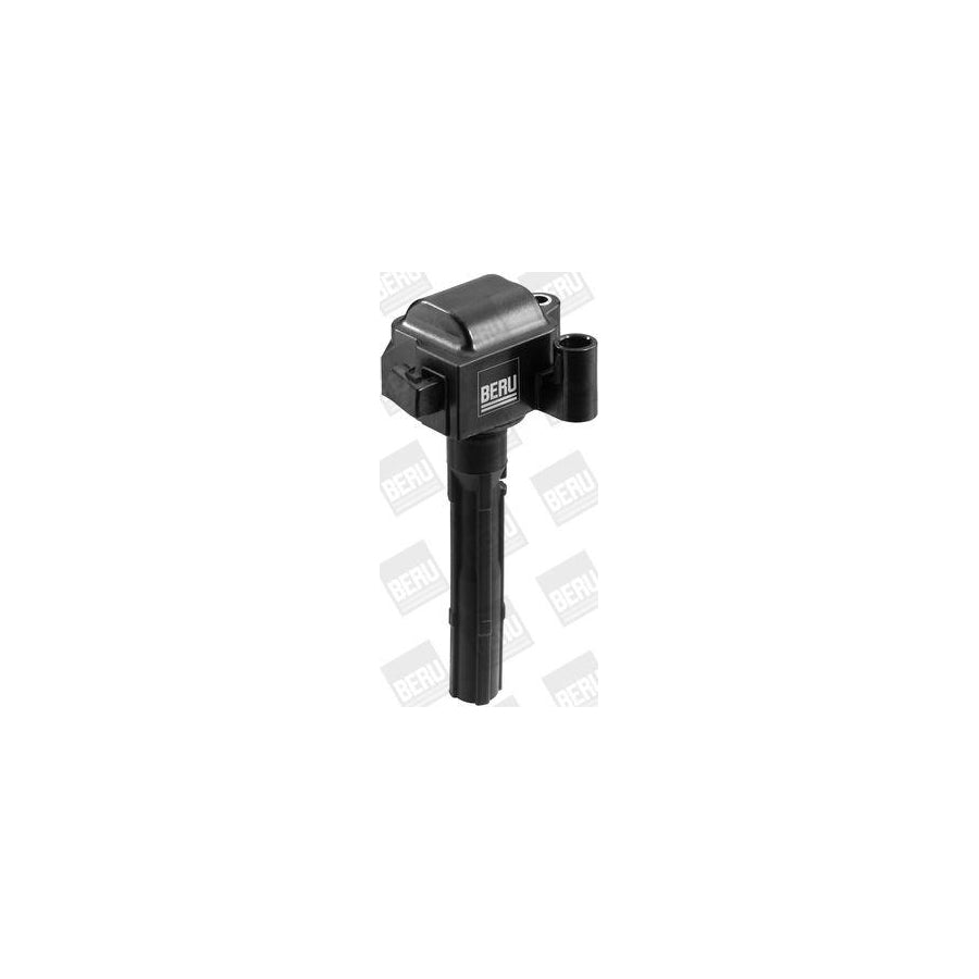 Beru ZS430 Ignition Coil – ML Performance