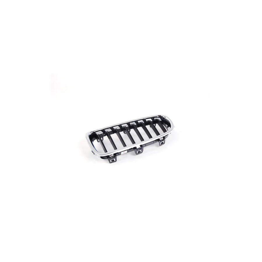 Genuine BMW 51137260497 F30 F31 Front Left Grille (Inc. 316d, 328i ...